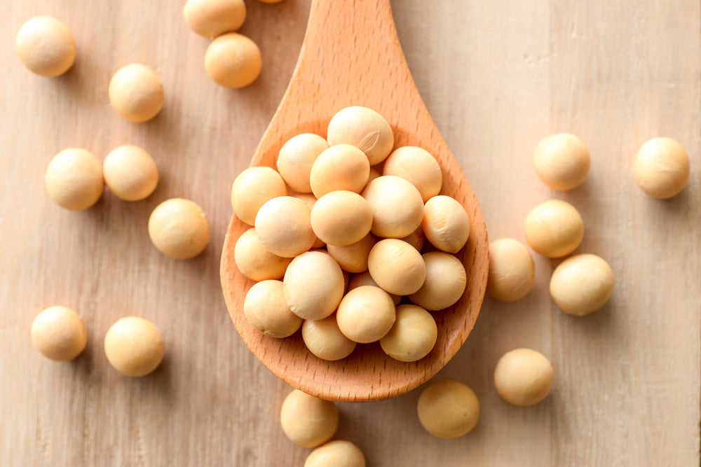 体の中で「エクオール」を増やすには？おすすめの食品や生活習慣 – シードコムス本店